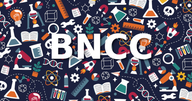 BNCC: O que é Base Nacional Comum Curricular e qual é o seu objetivo ...