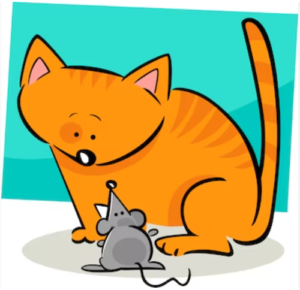 Jogo de gato e rato - Pensar Cursos Blog