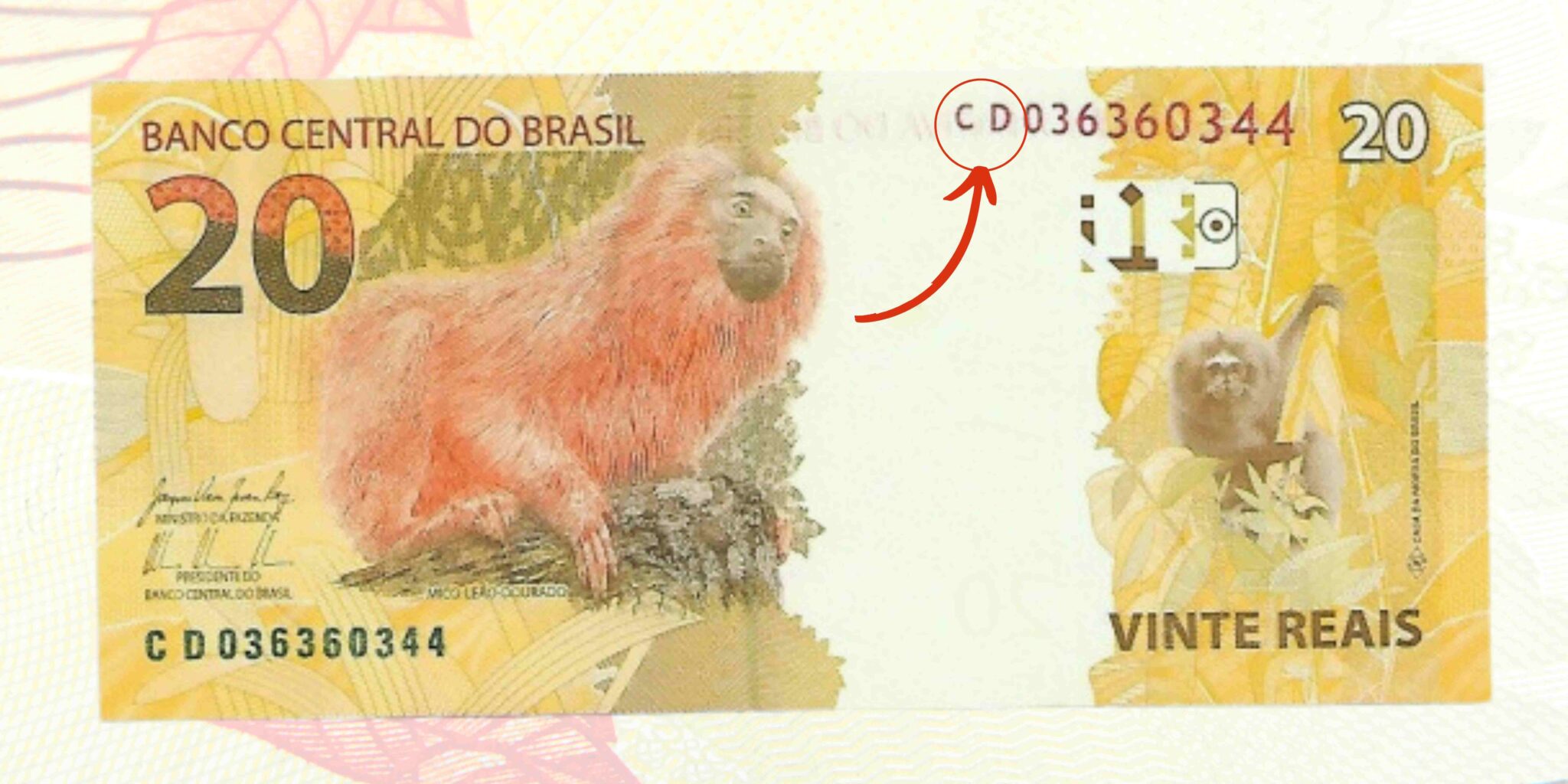 Essa simples nota de 20 reais pode valer R$ 1 MIL! Veja o motivo - Pensar Cursos Blog