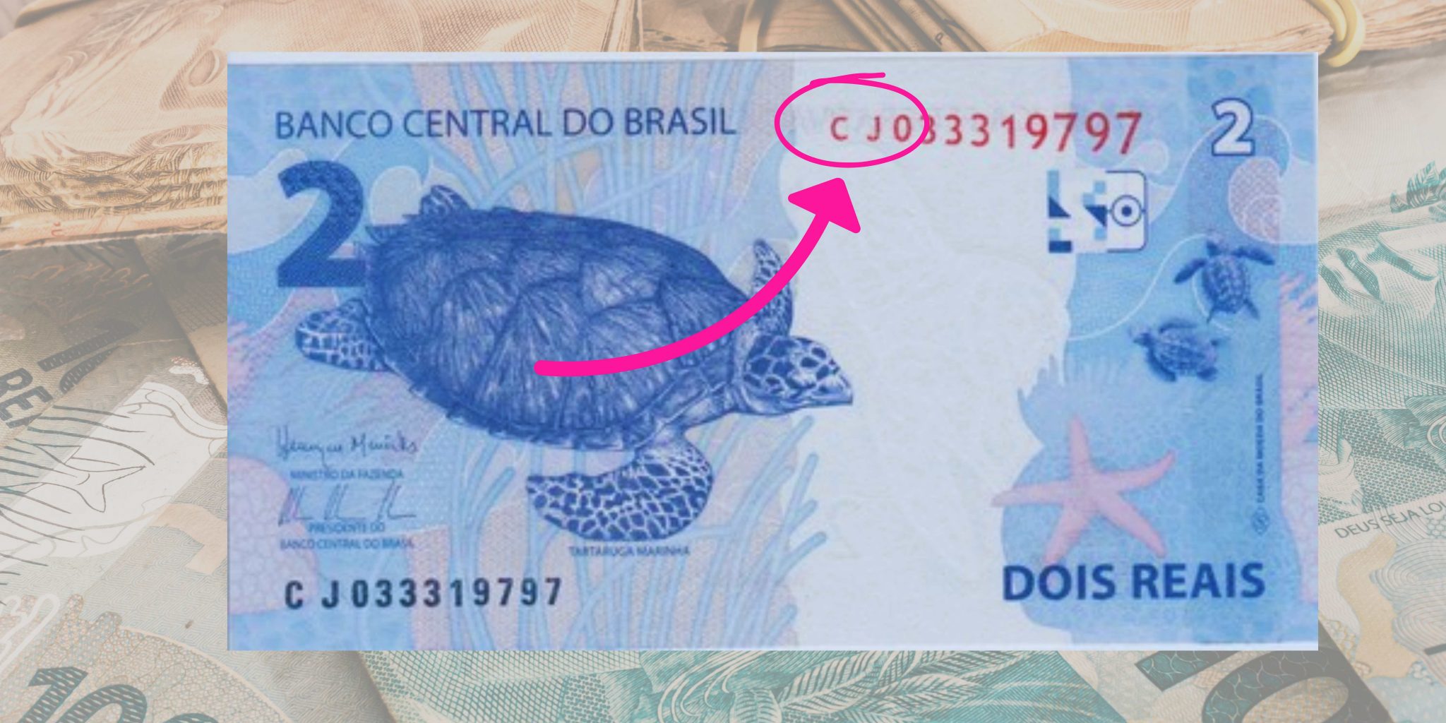 Cédula de 2 reais CJ: Veja o que significa e quanto ela vale! - Pensar Cursos Blog