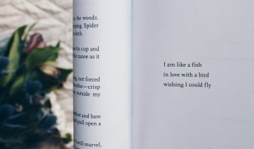 Resignificar ou ressignificar: escreva corretamente