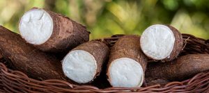 O correto é "aimpim" ou "aipim"? - Pensar Cursos