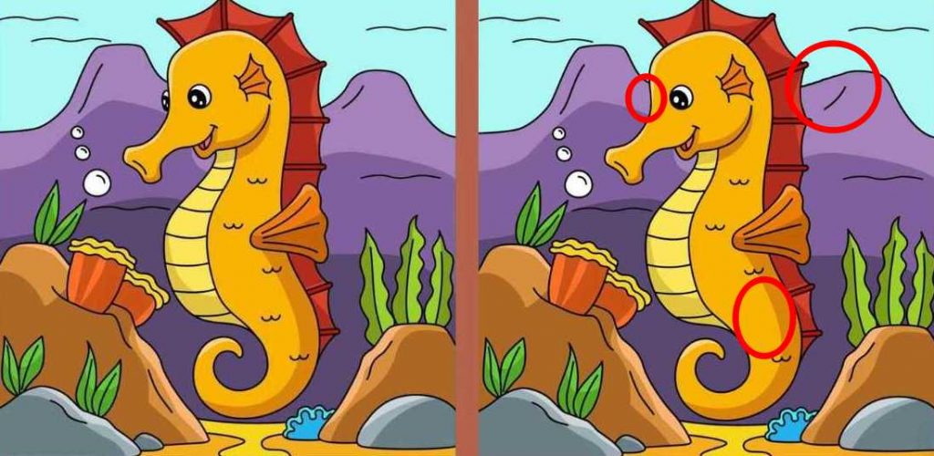 Desafio Visual: encontre 3 diferenças entre os cavalos-marinhos em 15 ...