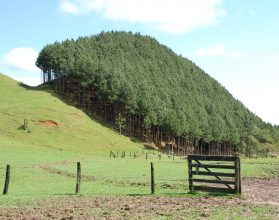 Como escrever uma circular interna - Pensar Cursos