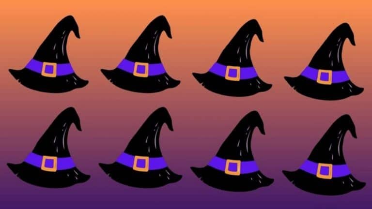 Desafio Visual: você consegue identificar o único chapéu de bruxa que não seja igual? - Pensar ...