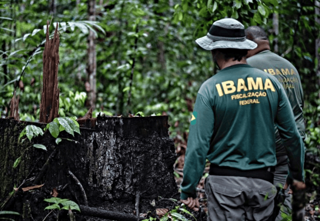 SAIU! Edital do concurso Ibama é publicado - 460 VAGAS e iniciais de R ...