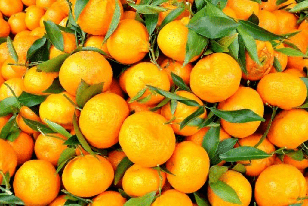 Desafio visual: encontre a flor entre as tangerinas! - Blog Pensar Cursos