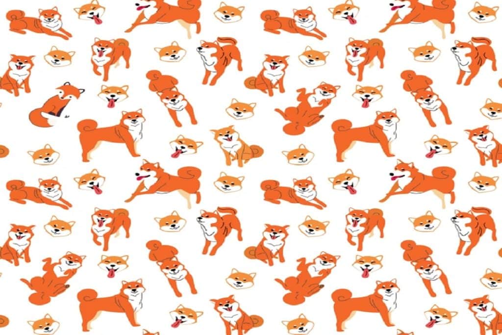 Teste Visual: você consegue encontrar o único animal diferente? - Blog ...